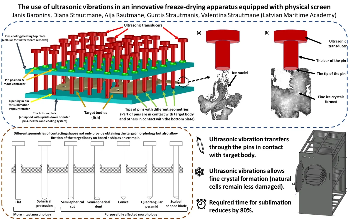 The use of ultrasonic vibrations in an innovative freeze-drying ...